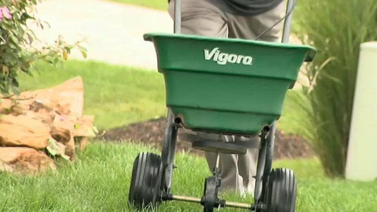 Lawn and Landscape Tips - Toby Tobin's Backyard