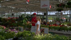 Lawn and Landscape Tips - Toby Tobin's Backyard