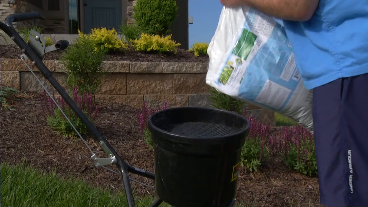 Fungus & Disease – Tobin Home & Garden Show