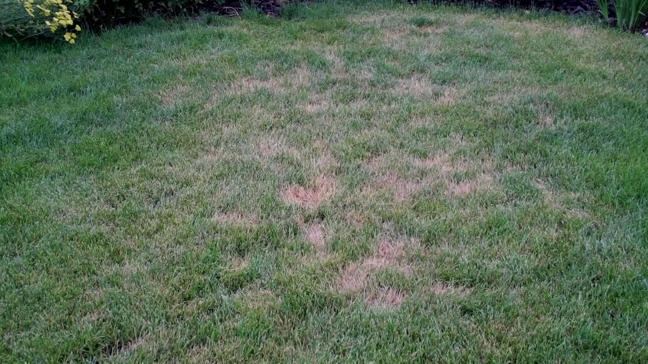 Heat Stress – Tobin Home & Garden Show