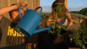 Tobin Home & Garden Show