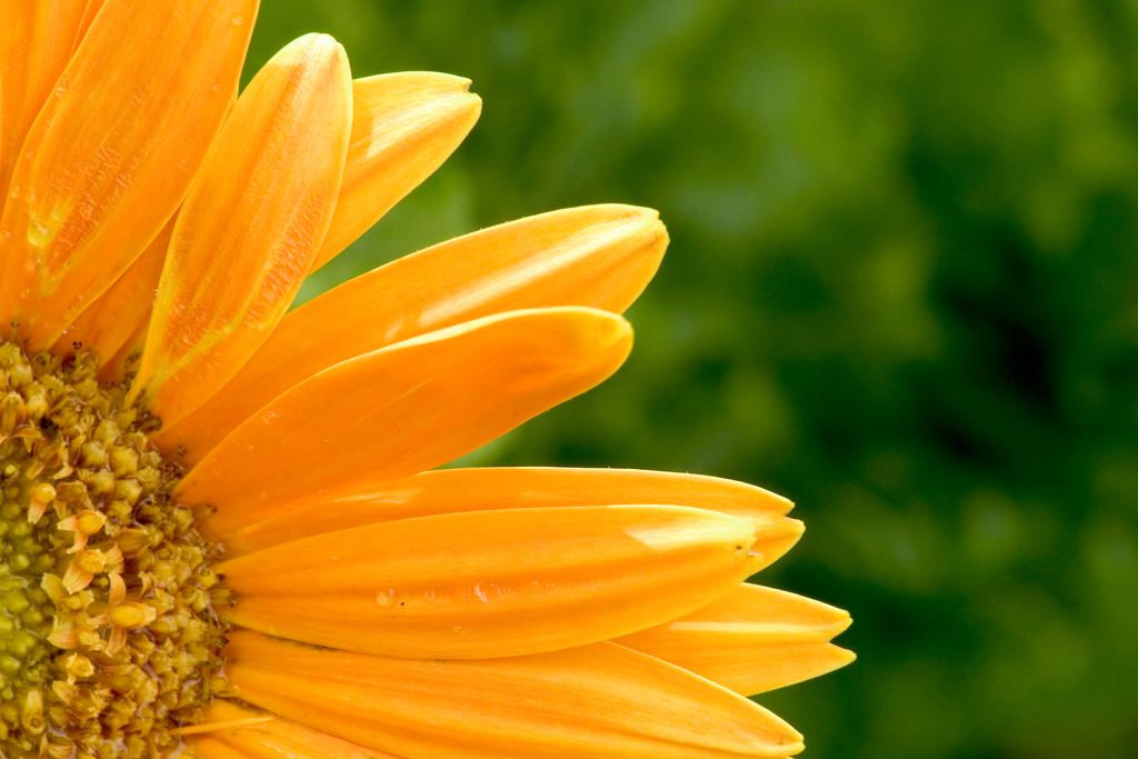 Tobin Home & Garden Show