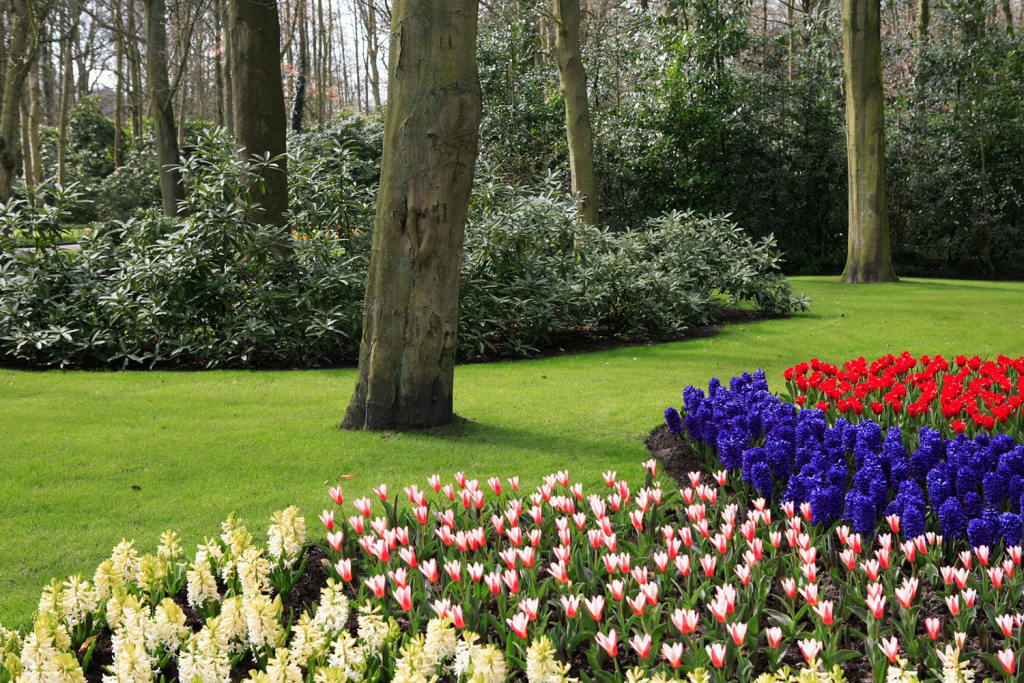 Subscription Thank You - Tobin Home & Garden Show