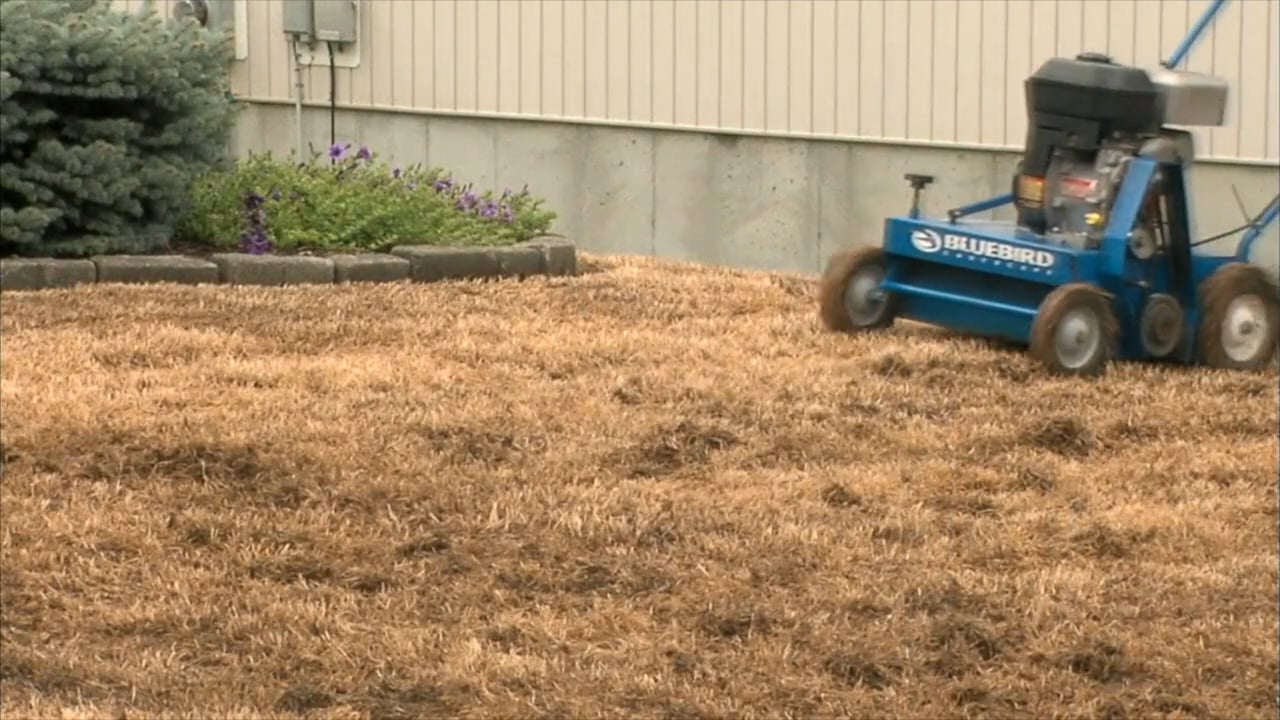 Total Lawn Renovation Part 2 – Tobin Home & Garden Show