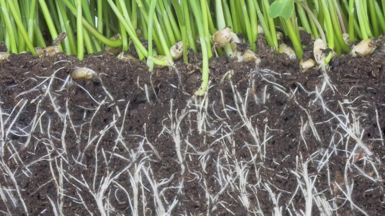 Using Earth Right – Tobin Home & Garden Show